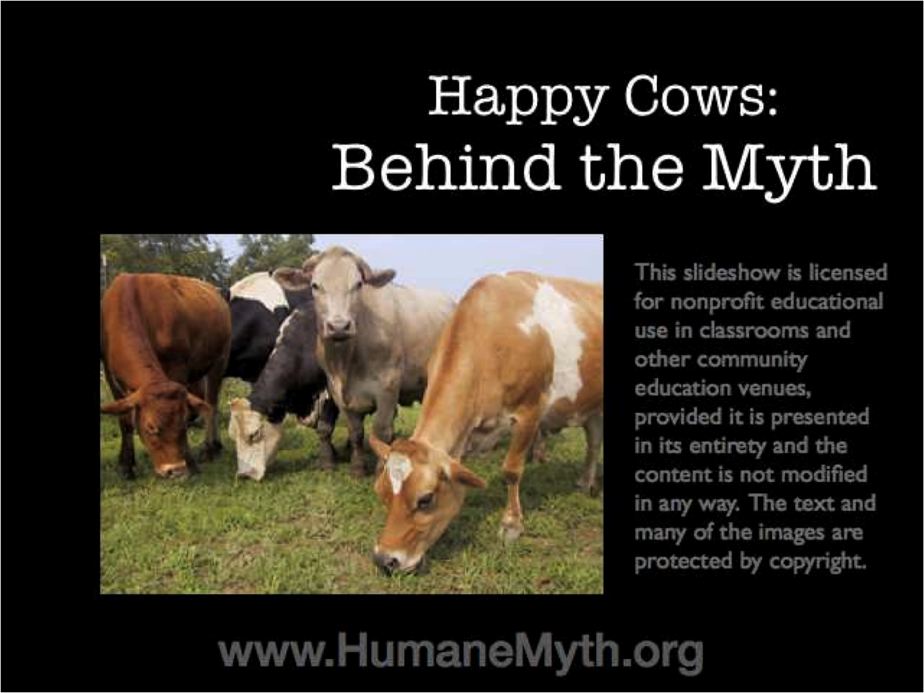 Happy Cows Commercials