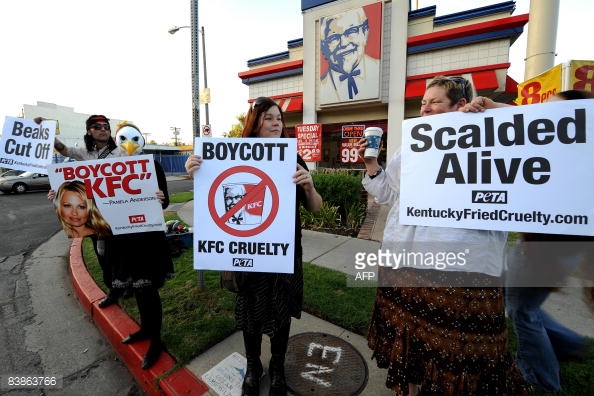 Effective Ways to Advocate for Animals - Humane Decisions