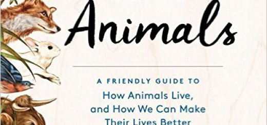 50 Ways You Can Help Animals - Humane Decisions
