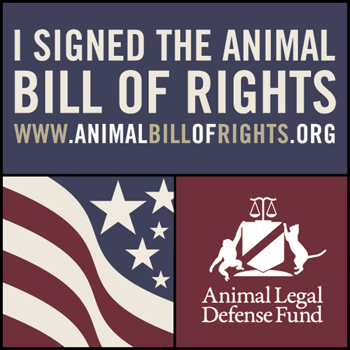Signing Online Petitions Really Can Help Animals - Humane Decisions