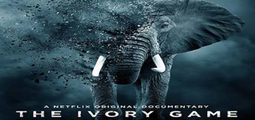 The Game Changers - Humane Decisions