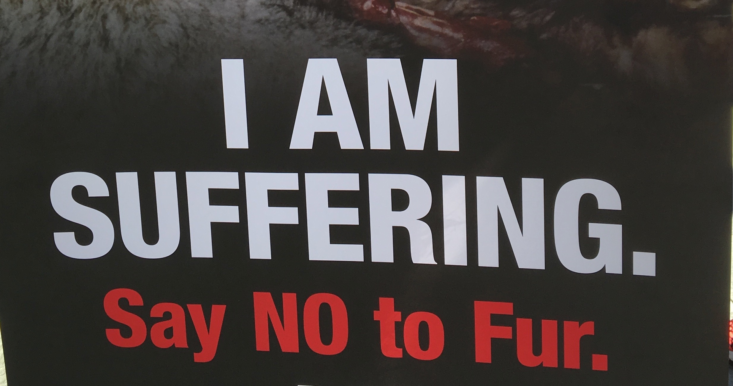 Cities and Countries That Have Banned Fur Farming and Fur Sales ...