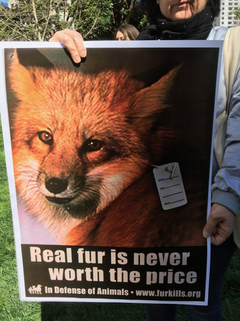 Cities and Countries That Have Banned Fur Farming and Fur Sales