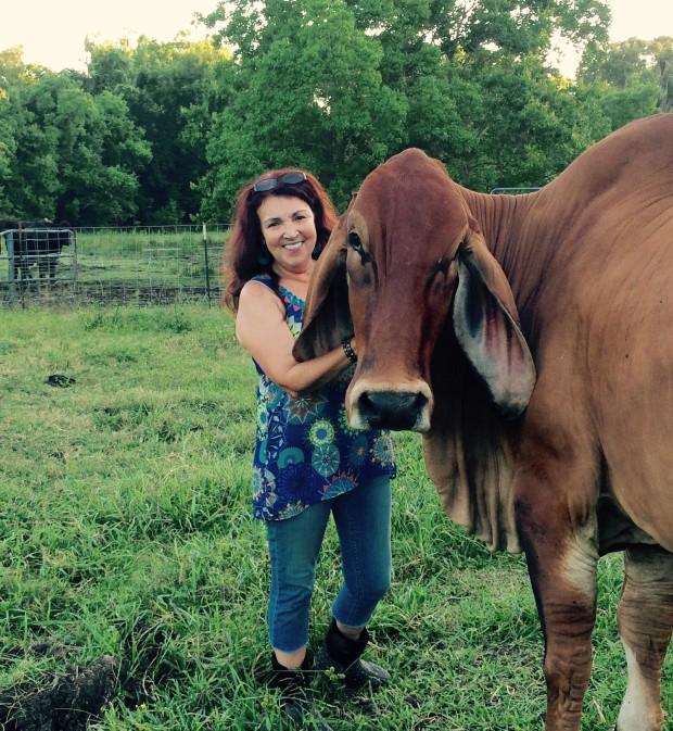 Texas Cattle Ranch Goes Vegan – Renée King-Sonnen Turns Her Husband’s ...
