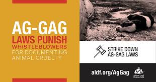 How To Fight Ag-Gag Laws