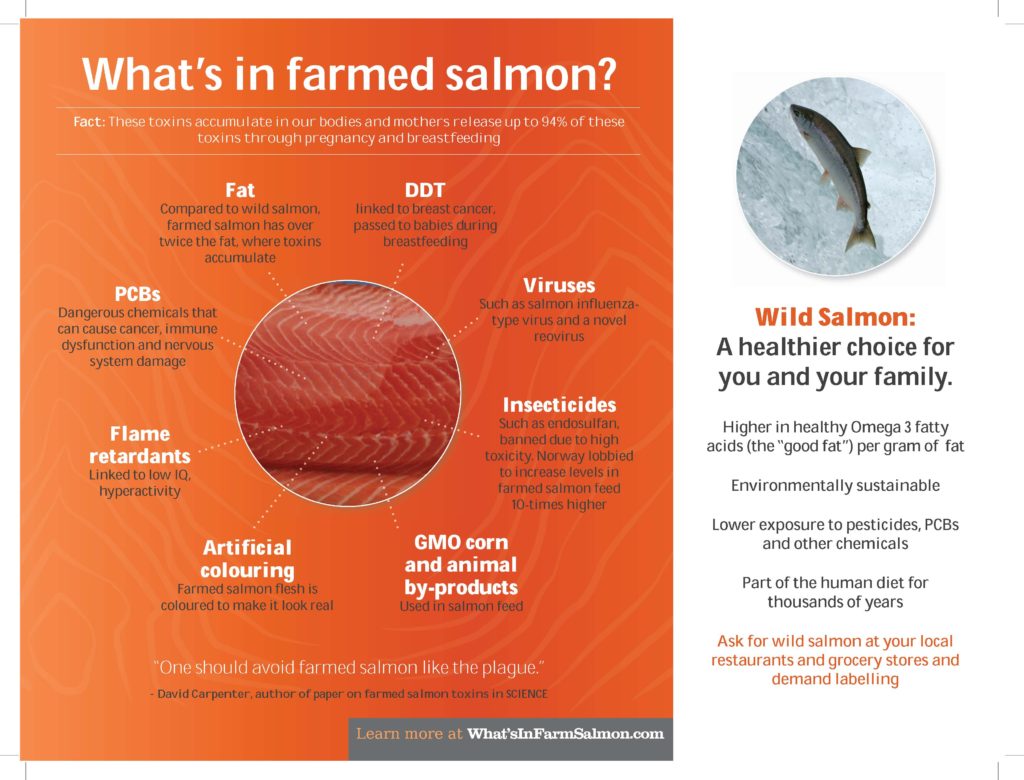 Fillet-Oh-Fish, A Film Documentary About Toxic Fish Farms and the ...