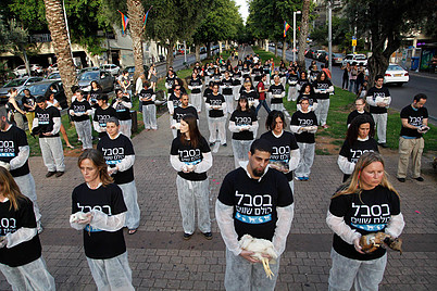 Life According to Ohad - Humane Decisions