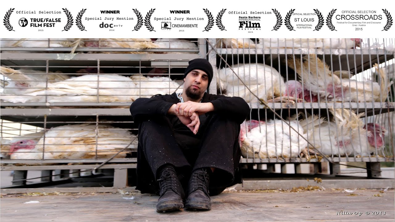 Life According to Ohad