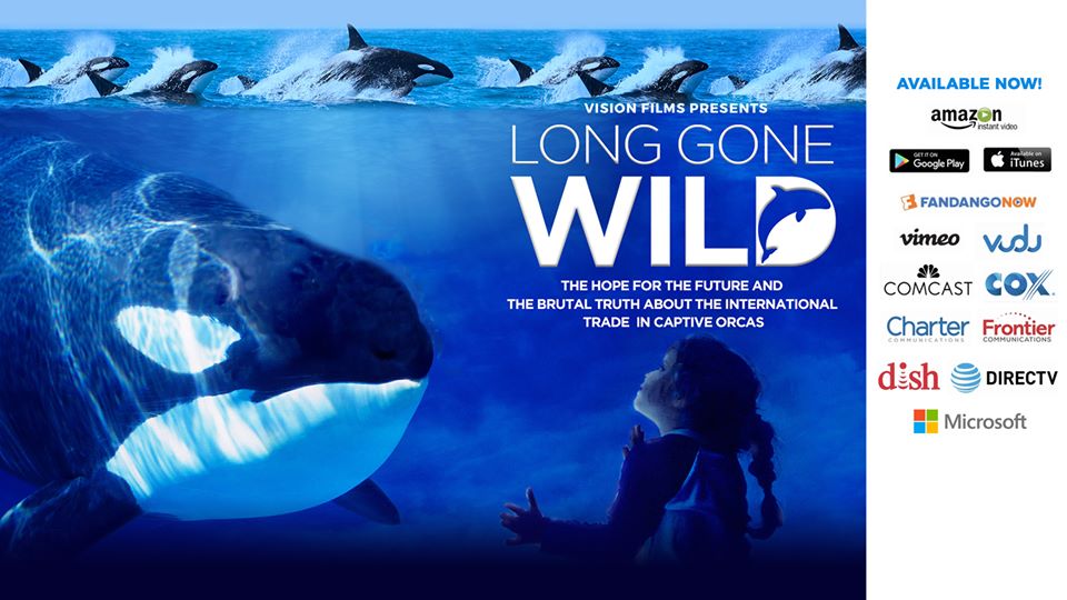Long Gone Wild – A Documentary About the History of SeaWorld and ...