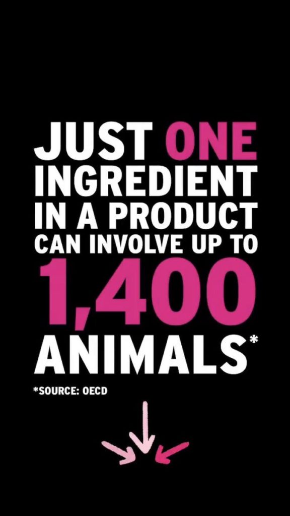 Organizations Fighting to End Animal Testing and Using Animals in ...