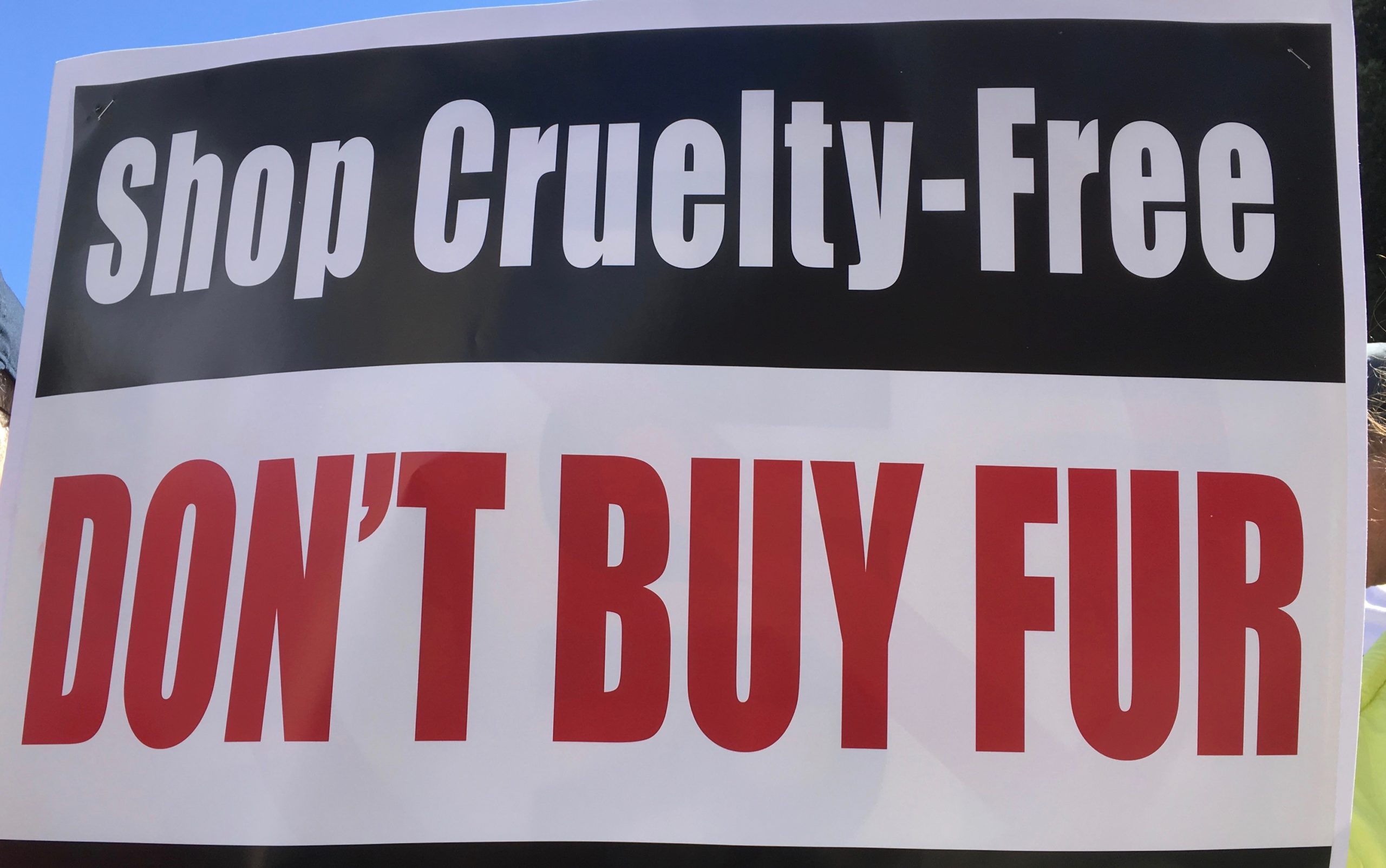 Organizations Fighting Against the Fur Trade