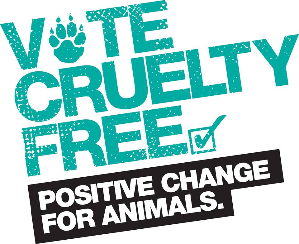Organizations Fighting to End Animal Testing and Using Animals in ...