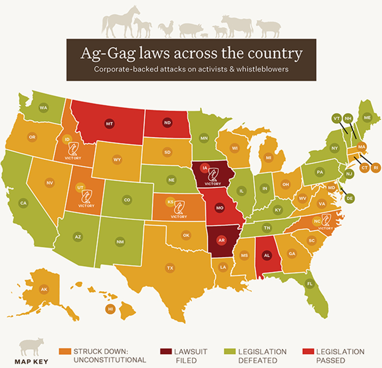 How To Fight Ag-Gag Laws