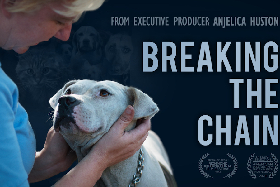 Breaking the Chain – How chaining dogs in a yard is a prison sentence ...