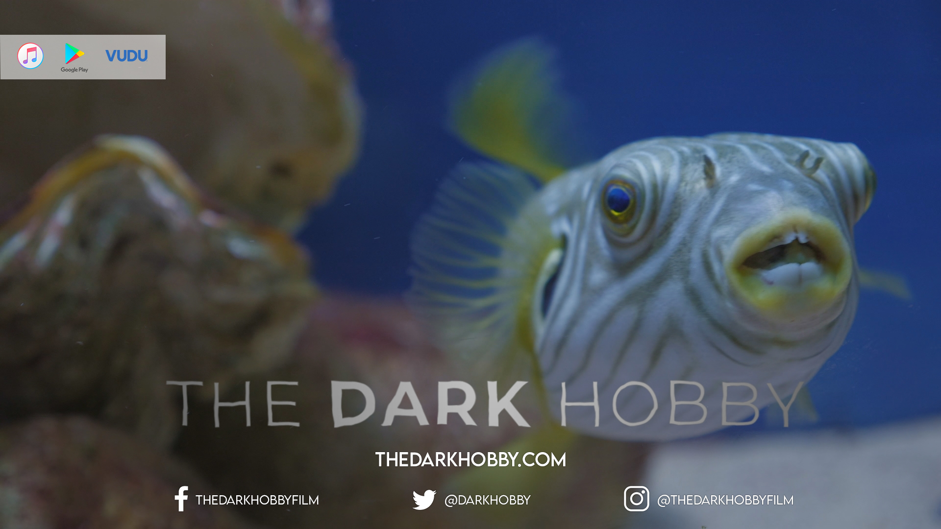 The Dark Hobby, A Film About the Violence, Death, Destruction and ...