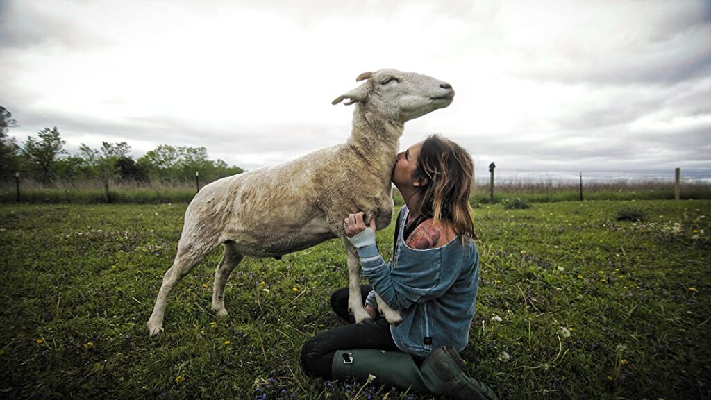 Kindred Creatures, A Documentary About Farm Animals as Sentient ...