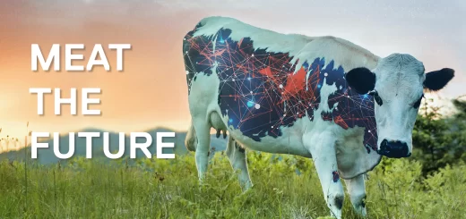 Meet Your Meat, a Short Documentary - Humane Decisions